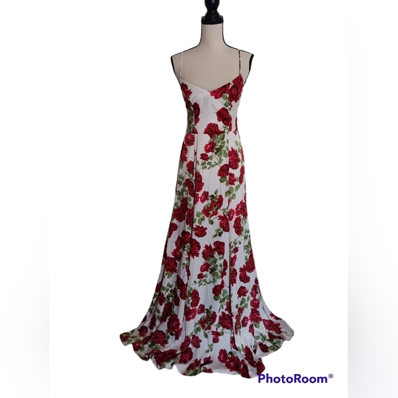 Show Me Your MuMu | Dresses | Show Me Your Mumu Godshaw Goddesses Gown ...